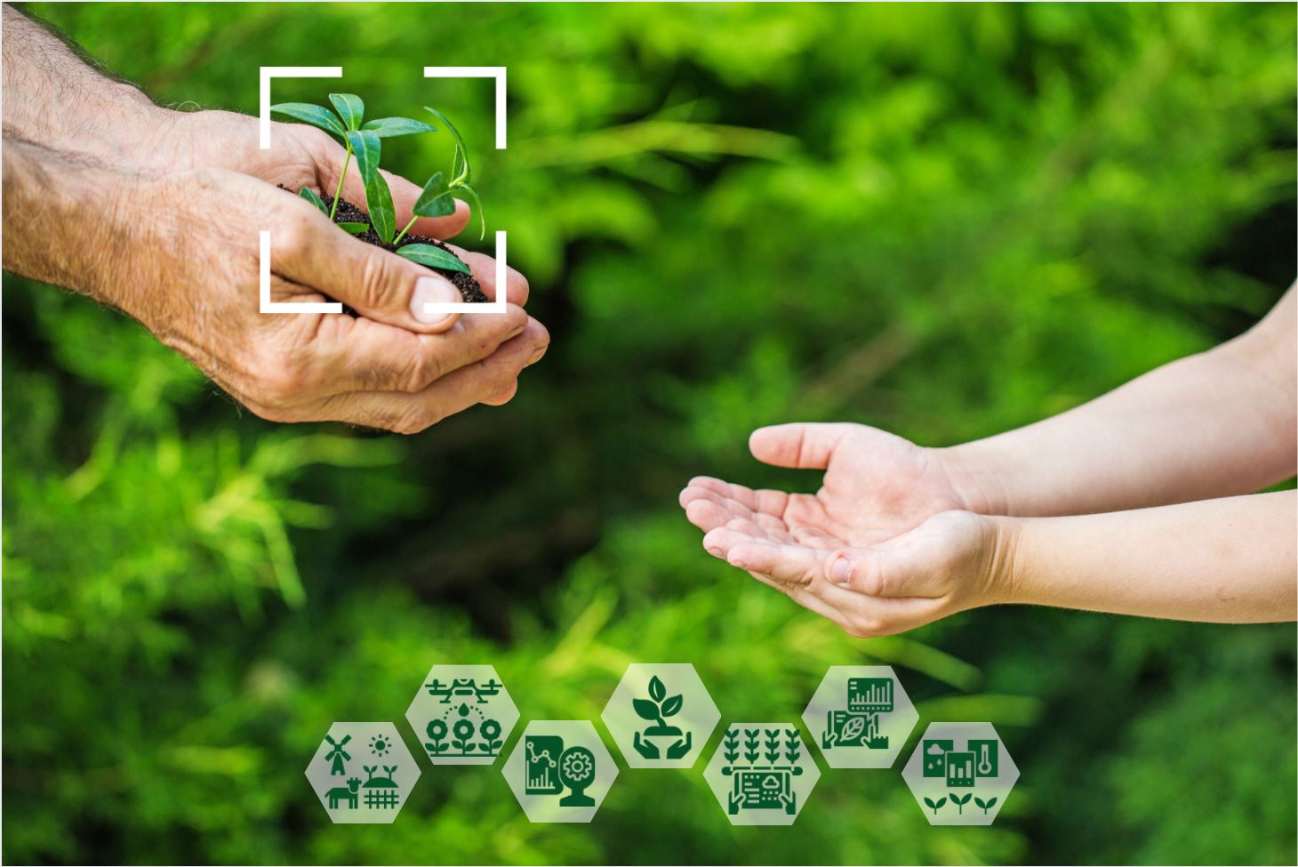 Smart Farming Solutions Through Digital Development of Botswana - Brand ...